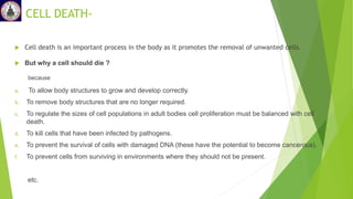 Apoptosis. | PPTX