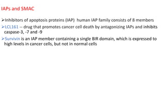 Apoptosis | PPTX | Cancer | Diseases and Conditions