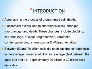 Apoptosis | PDF