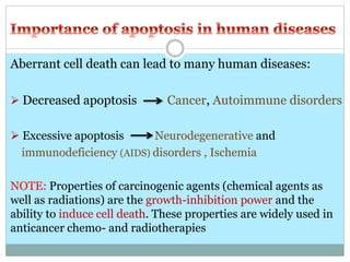 Apoptosis | PPTX