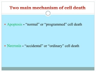 Apoptosis | PPTX