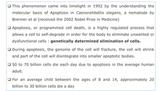Apoptosis - An Introduction | PPTX