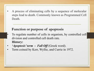 Apoptosis.pptx | Biological Sciences | Science