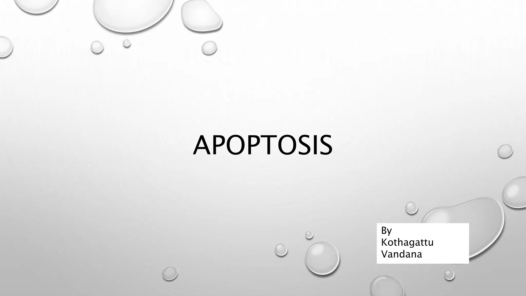 APOPTOSIS | PPT