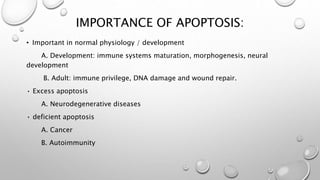 APOPTOSIS | PPT