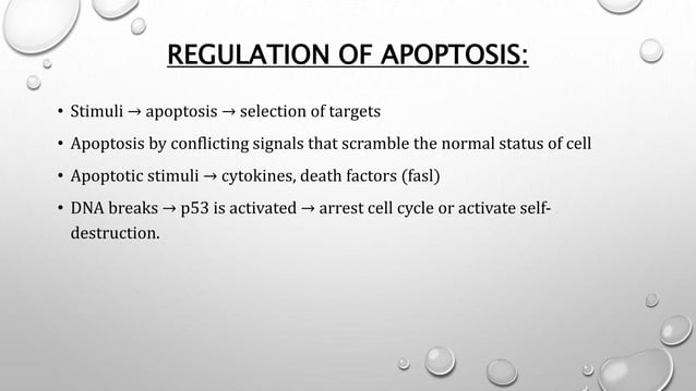 APOPTOSIS | PPT