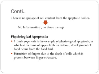 Apoptosis.pdf