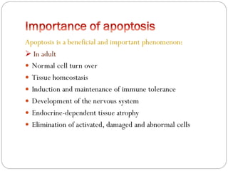 Apoptosis.pdf