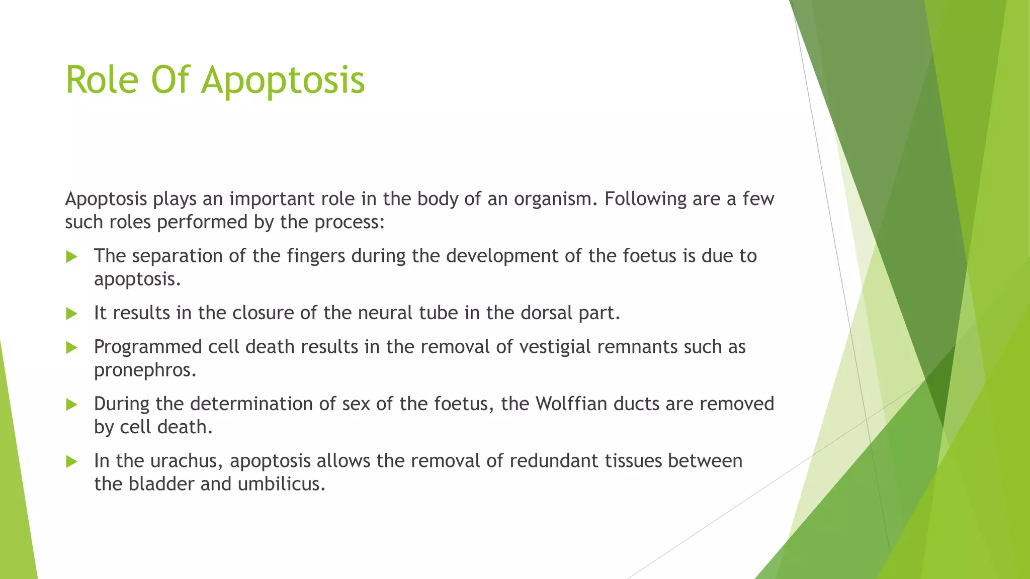 Apoptosis.pptx