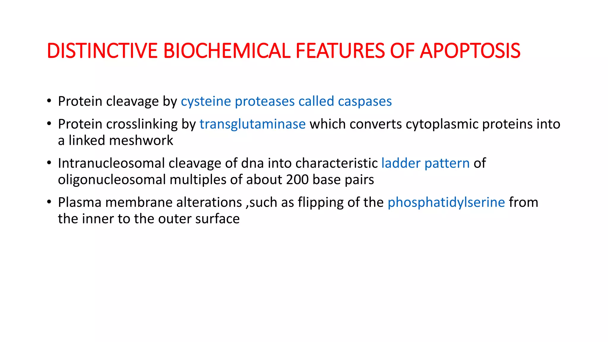 APOPTOSIS.pptx