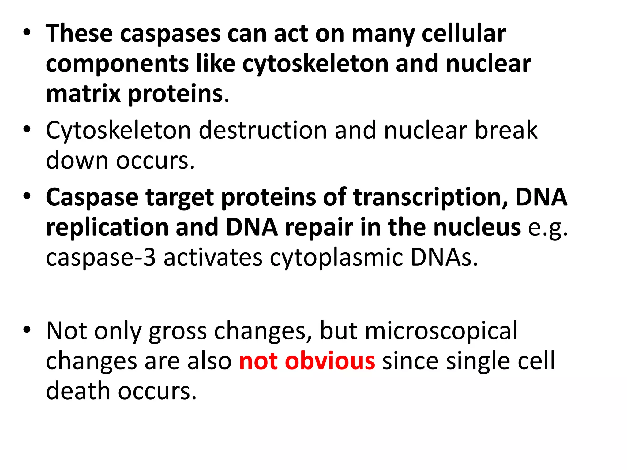 APOPTOSIS.pptx
