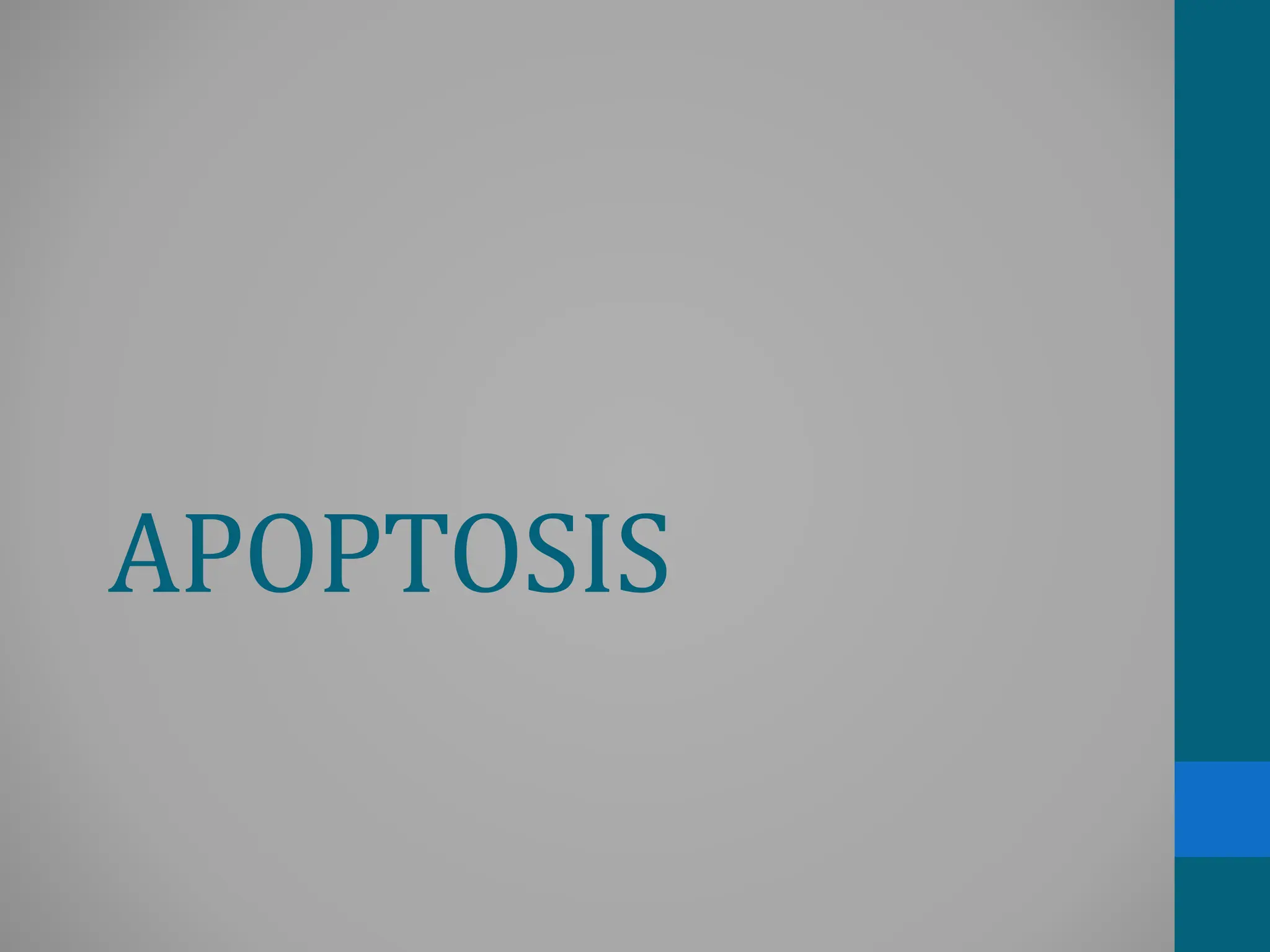 APOPTOSIS.pptx