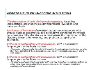 Apoptosis..pptx
