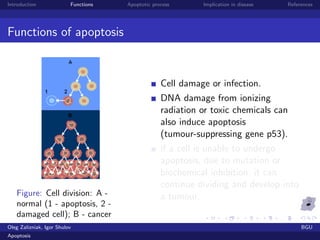 apoptosis.pdf, Pr0grammed cell death - PCD | PDF