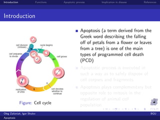 apoptosis.pdf, Pr0grammed cell death - PCD | PDF | Biological Sciences ...