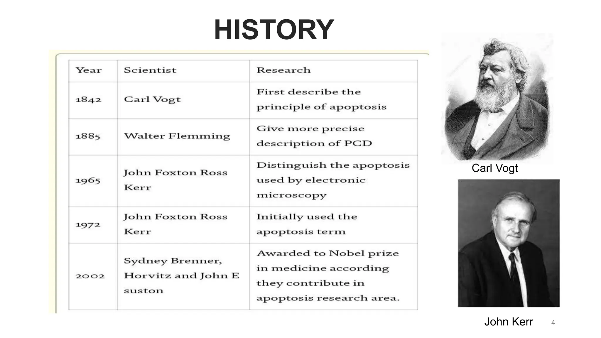 Apoptosis : caspases, extrinsic and intrinsic pathways. | PPTX