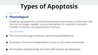 Apoptosis - Cell Death - Descriptive Pathology.pptx