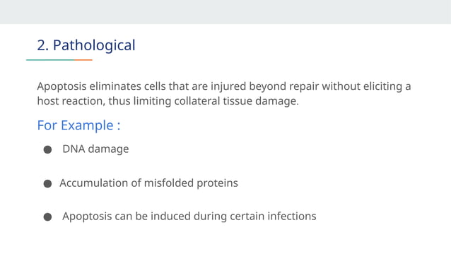 Apoptosis - Cell Death - Descriptive Pathology.pptx