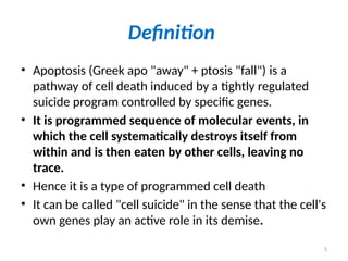 Apoptosis physiology important topic theory | PPTX
