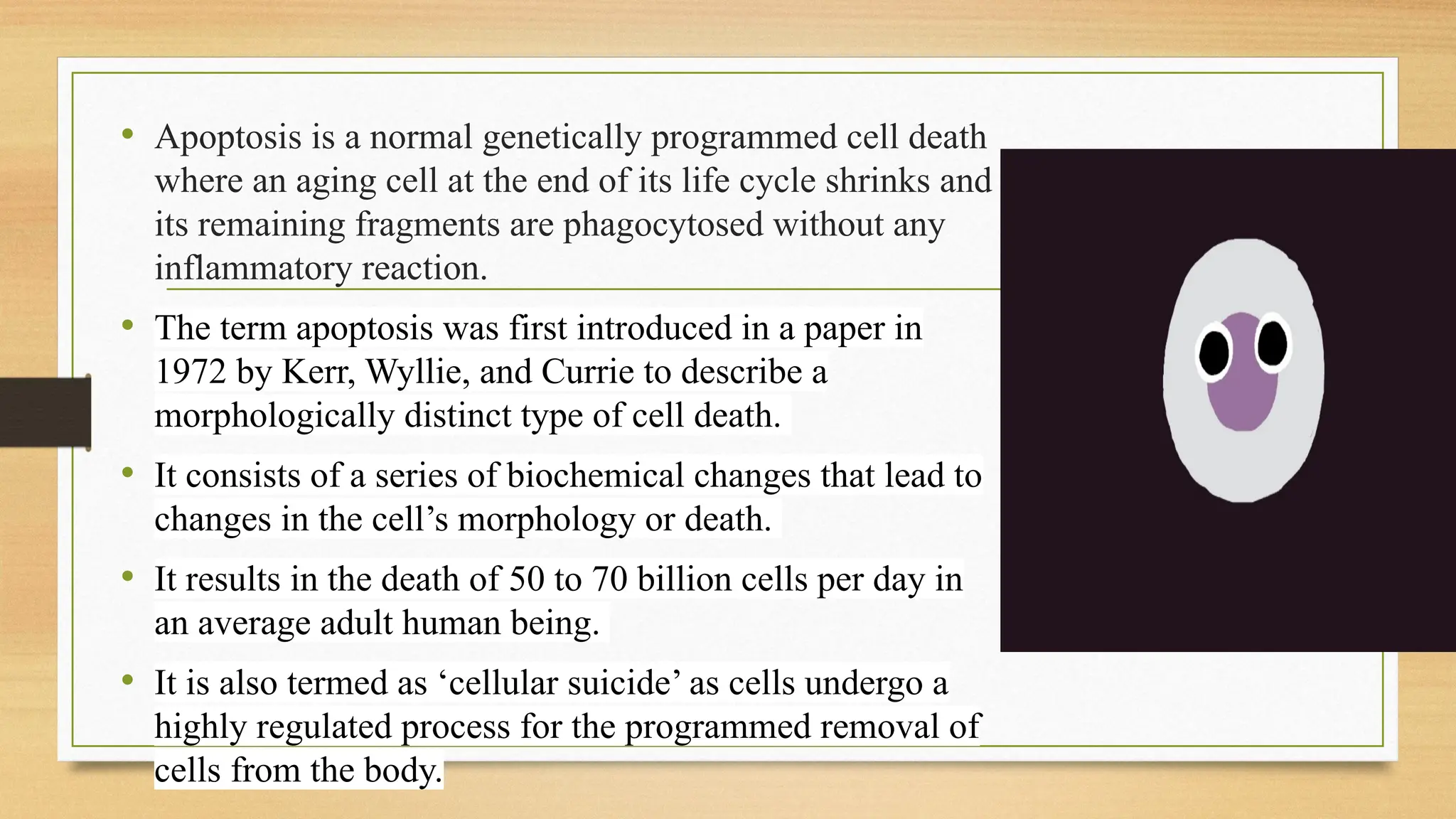 apoptosis- necrosis & programmed cell death.pptx