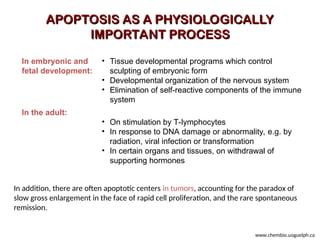 Apoptosis. and mechanism of cell death ppt | PPT