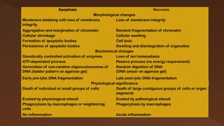 APOPTOSIS cell and molecular biology.pptx