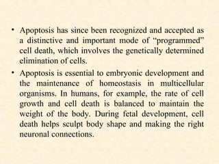Comprehensive Overview of Apoptosis: Mechanisms, Pathways, and Clinical ...