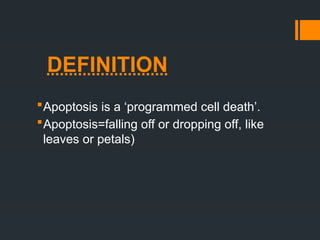 APOPTOSIS-PARAMEDICAL LECTUR for teaching everdayE.pptx