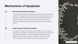 Apoptosis-The-Programmed-Cell-Death.pptx