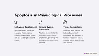Apoptosis-The-Programmed-Cell-Death.pptx