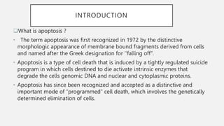 apopwqgdcbhuredgbcfyhhvhcctosis (1).pptx