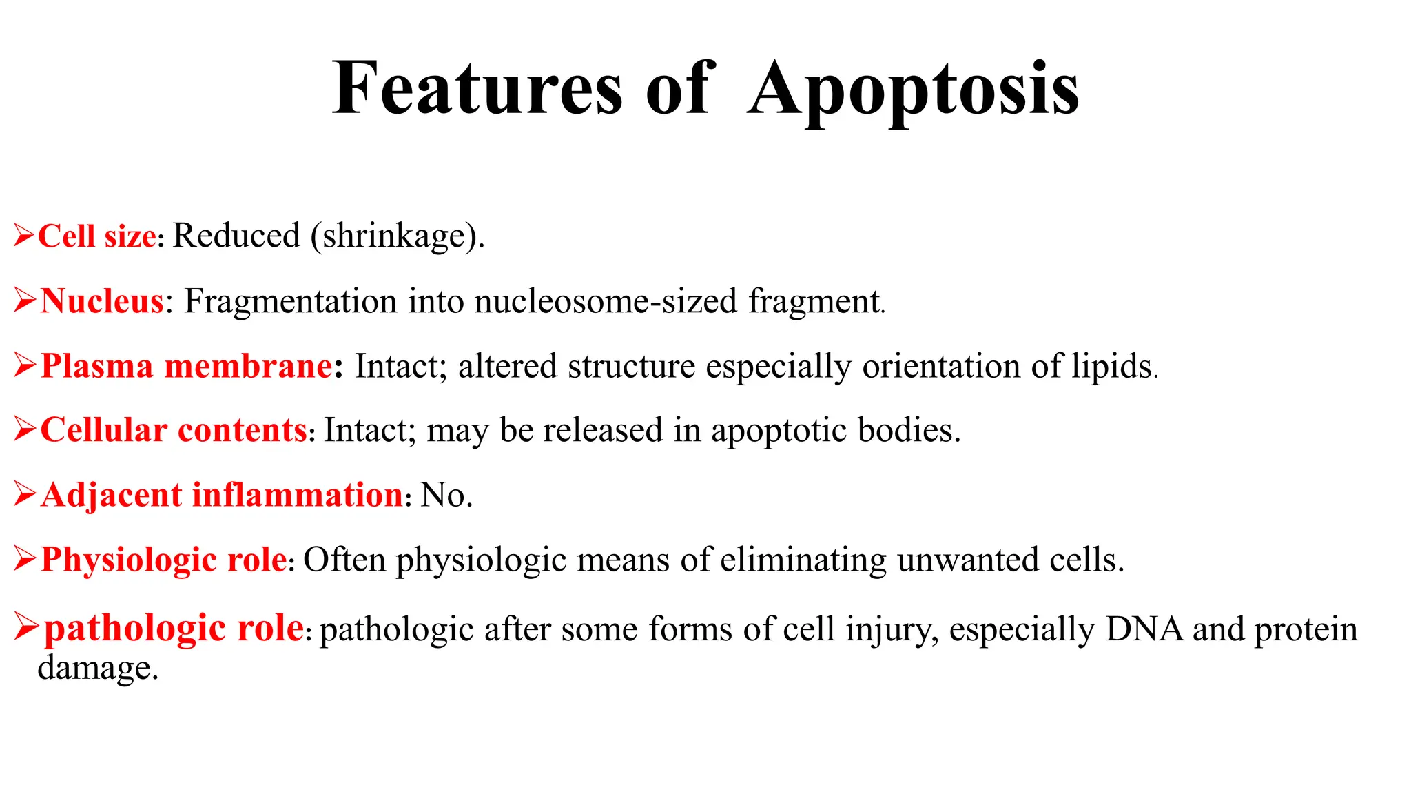 Apoptosis pathology medical laboratory' (1).pptx