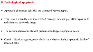 Apoptosis pathology medical laboratory' (1).pptx