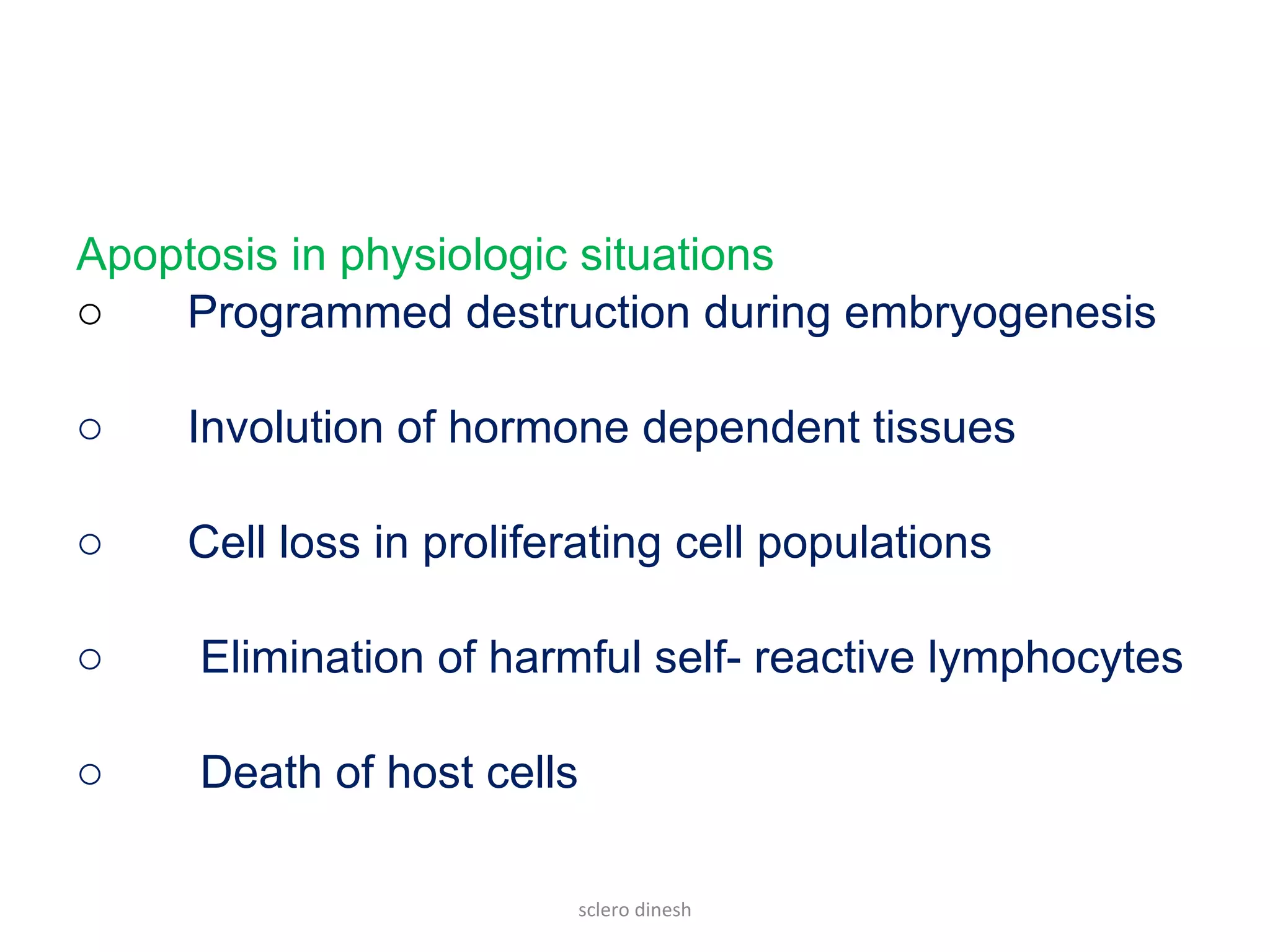 Apoptosis | PPT