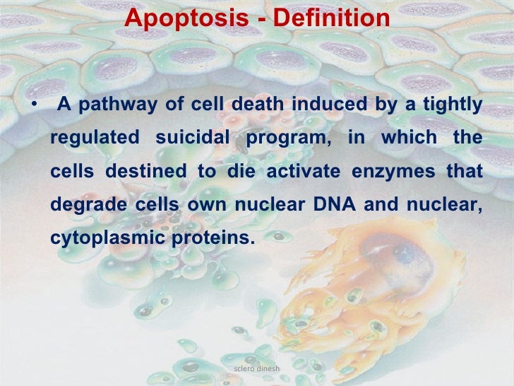 Apoptosis