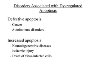 Apoptosis (2) | PPTX