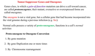 Apoptosis and CANCER biology 2020.pdf