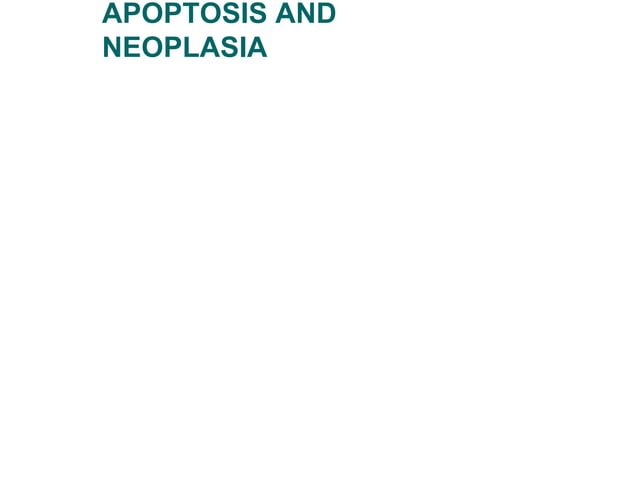 Apoptosis And Necrosis - Year 1 | PDF