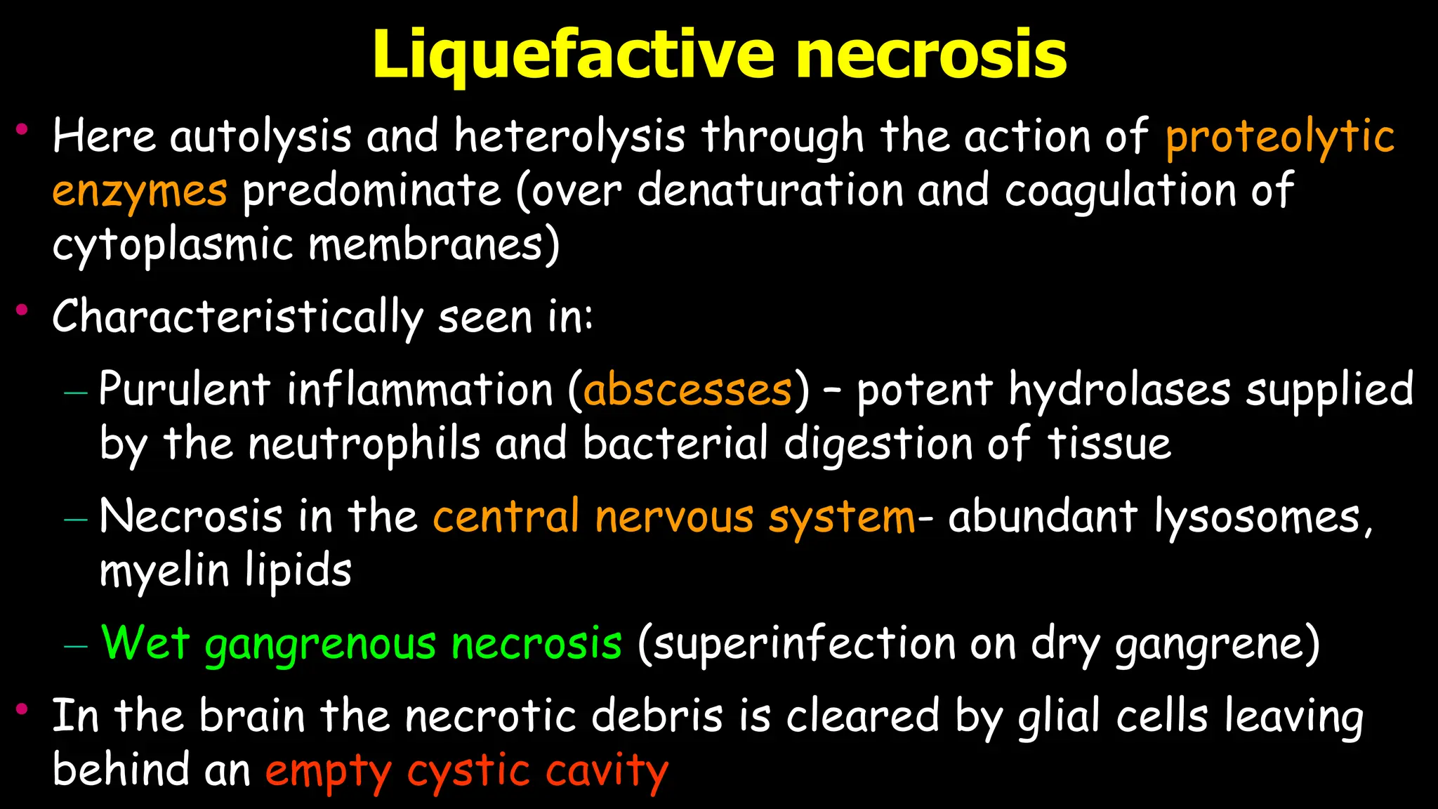 APOPTOSIS AND NECROSIS OF THE HUMAN BODY.pdf