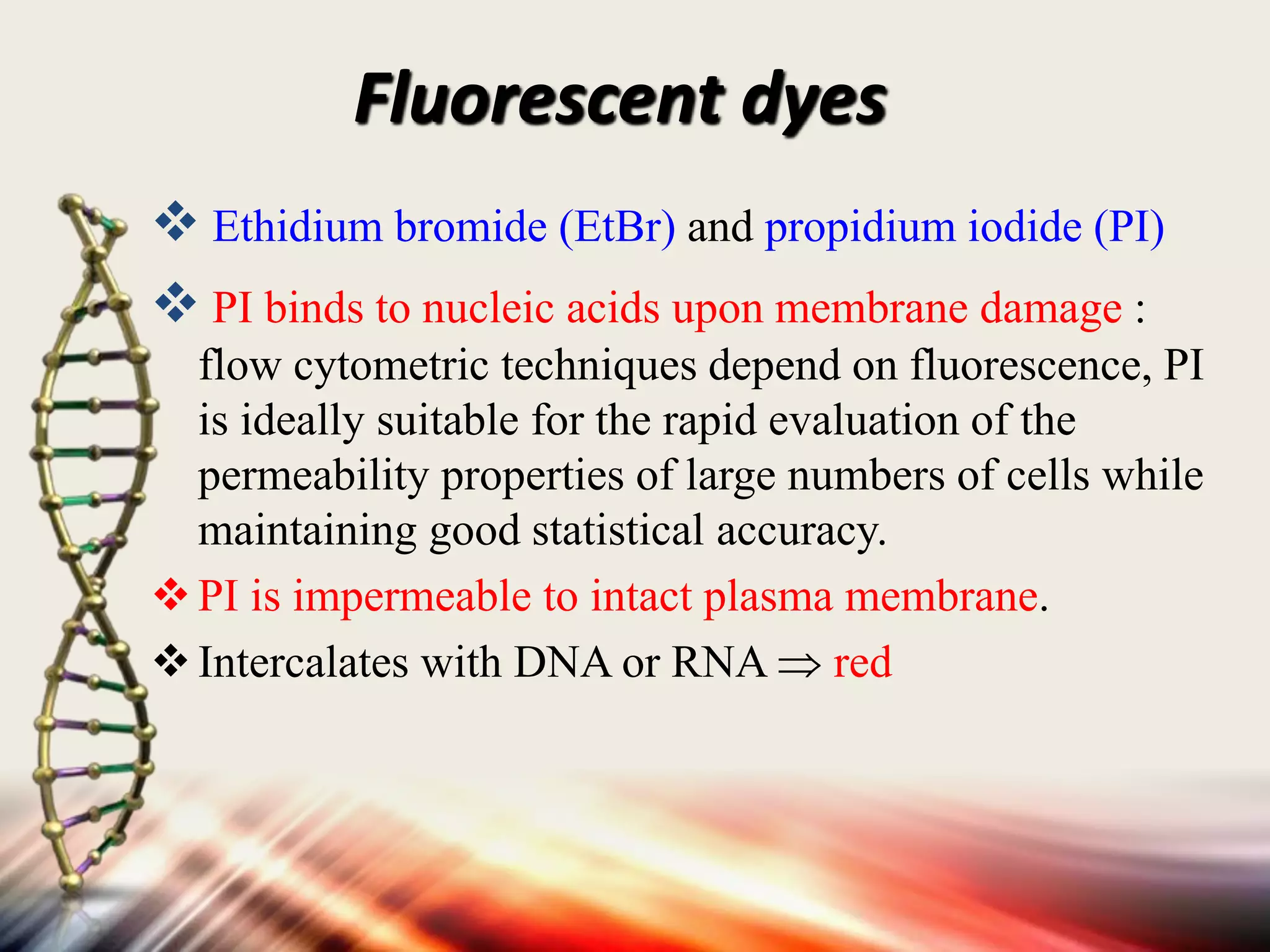Apoptosis Assays Detection And Methods Pptx Biological Sciences