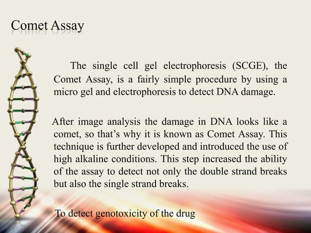 Apoptosis Assays Detection And Methods Pptx Biological Sciences