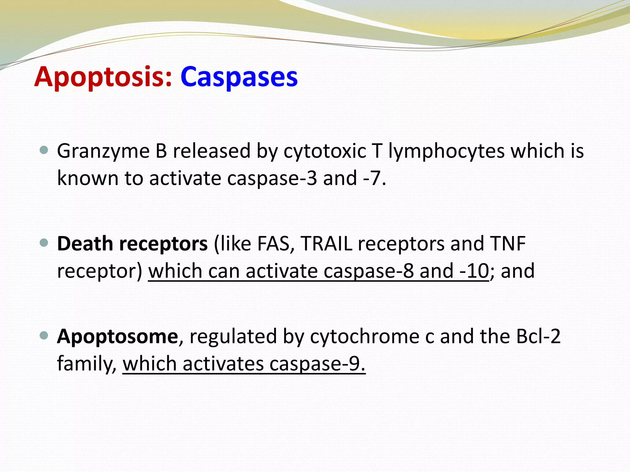 APOPTOSIS by dr Alfarah.pptx