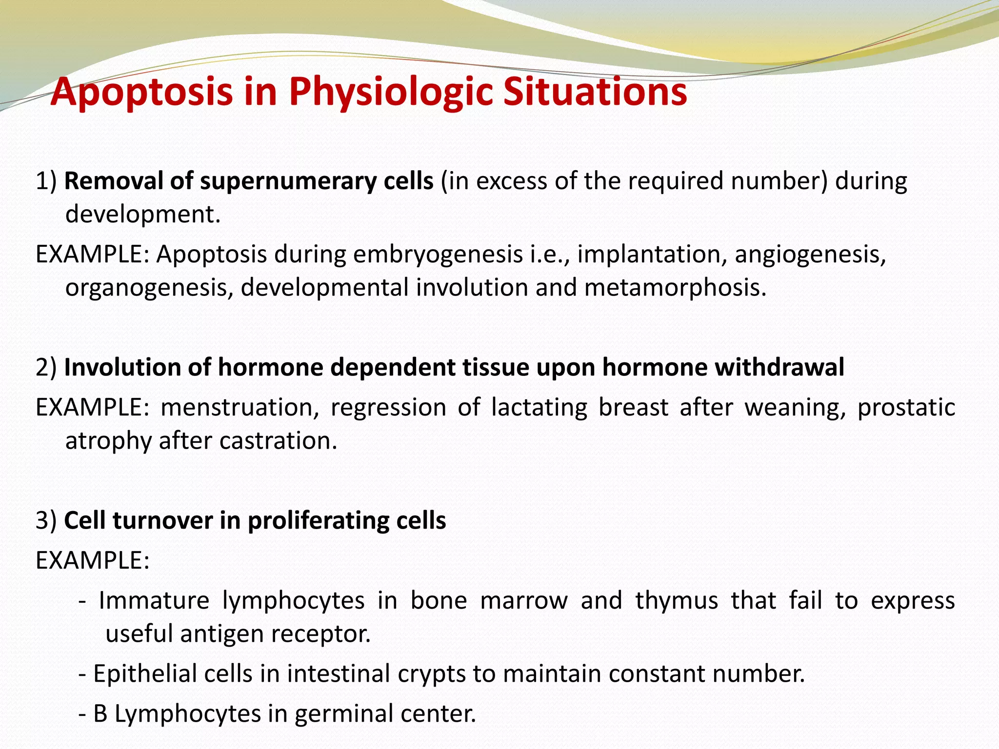 APOPTOSIS by dr Alfarah.pptx