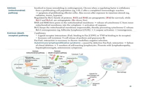 apoptosis cancer biology.pptx