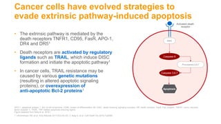 apoptosis cancer biology.pptx