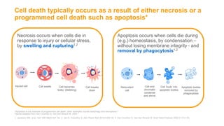 apoptosis cancer biology.pptx