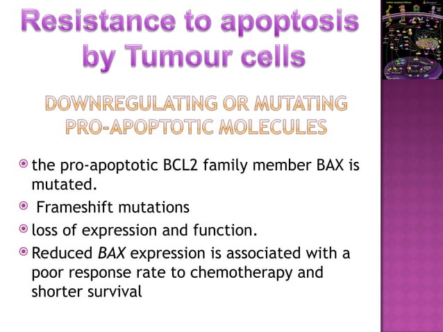 Apoptosis content.ppt