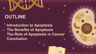 APOPTOSIS.pptx