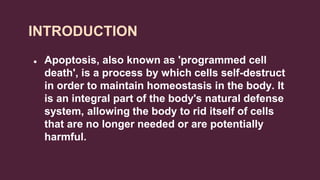 APOPTOSIS.pptx
