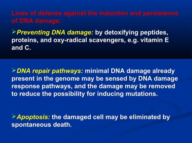 Apoptosis, dna damage and repair handout | PPT